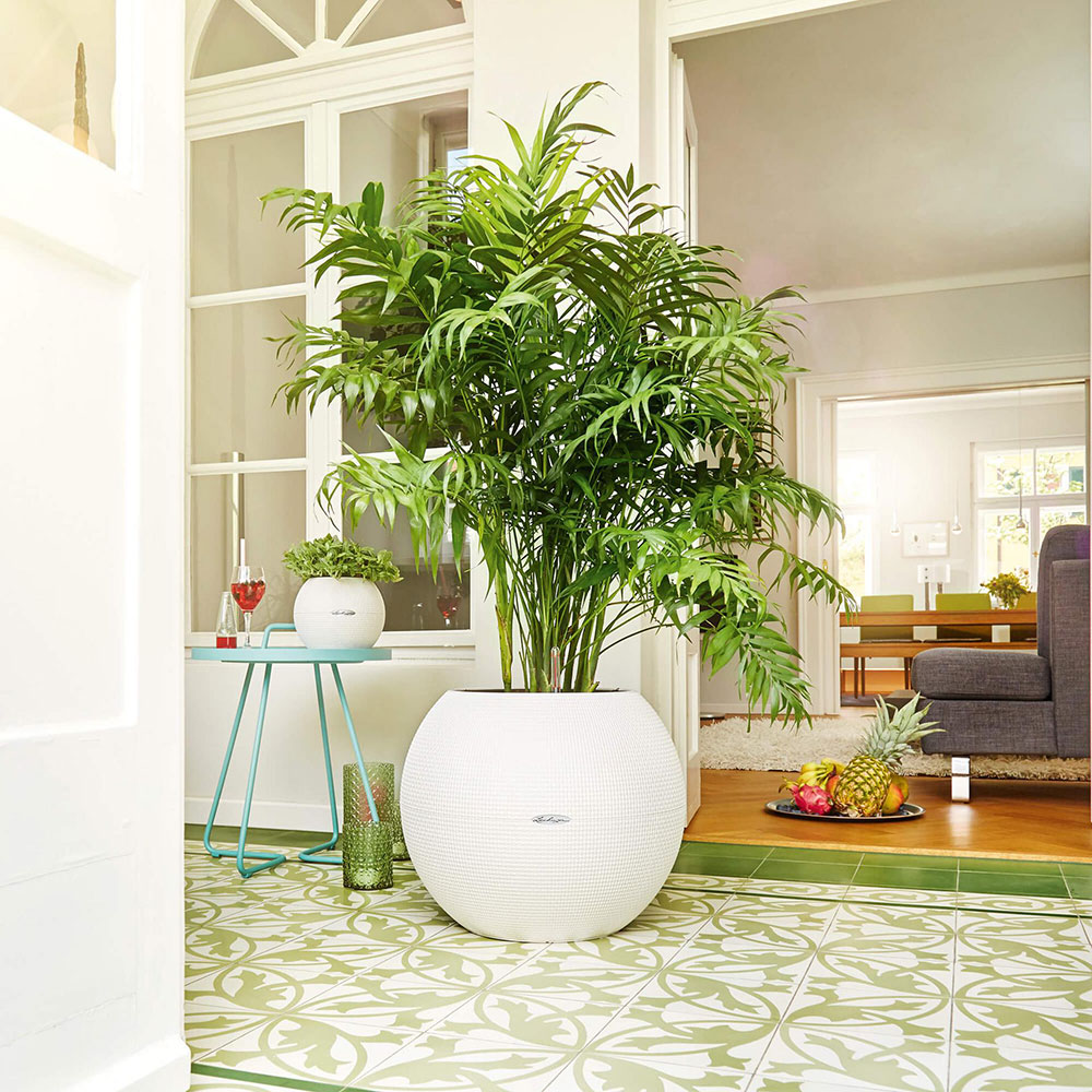 Puro Color - GROUPE CLIS